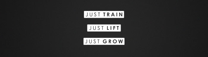 Just Train – Gymtier